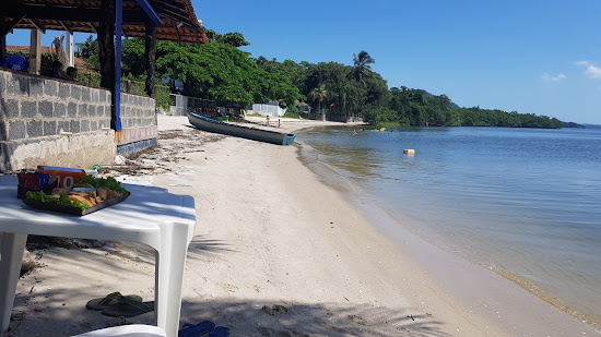 Joinville 🏖️ todas as 56 praias cerca de 42km (Brasil, Santa Catarina)