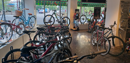 Biciclo (Palencia)