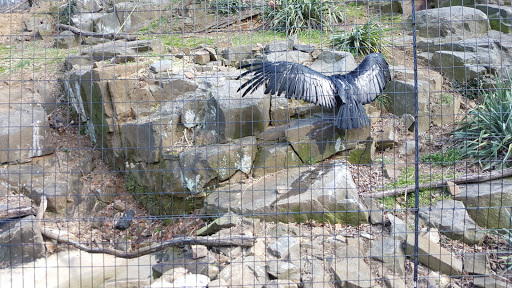 Zoo «Brandywine Zoo», reviews and photos, 1001 N Park Dr, Wilmington ...