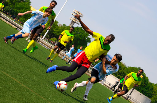 Stadium «Icahn Stadium», reviews and photos, 20 Randalls Island, New ...