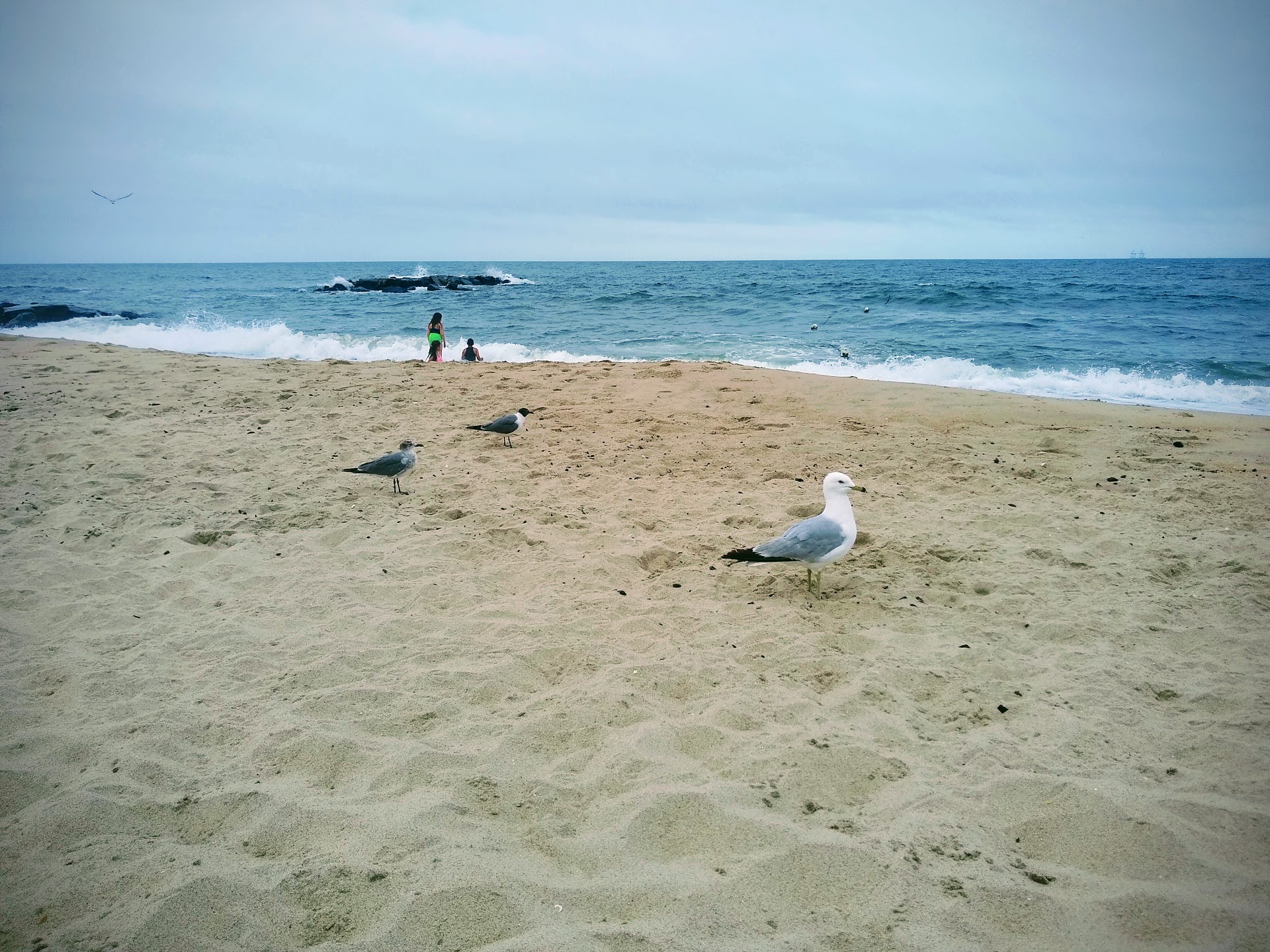 North Beach Boardwalk - reviews,open hours,photo spots,things to do ...