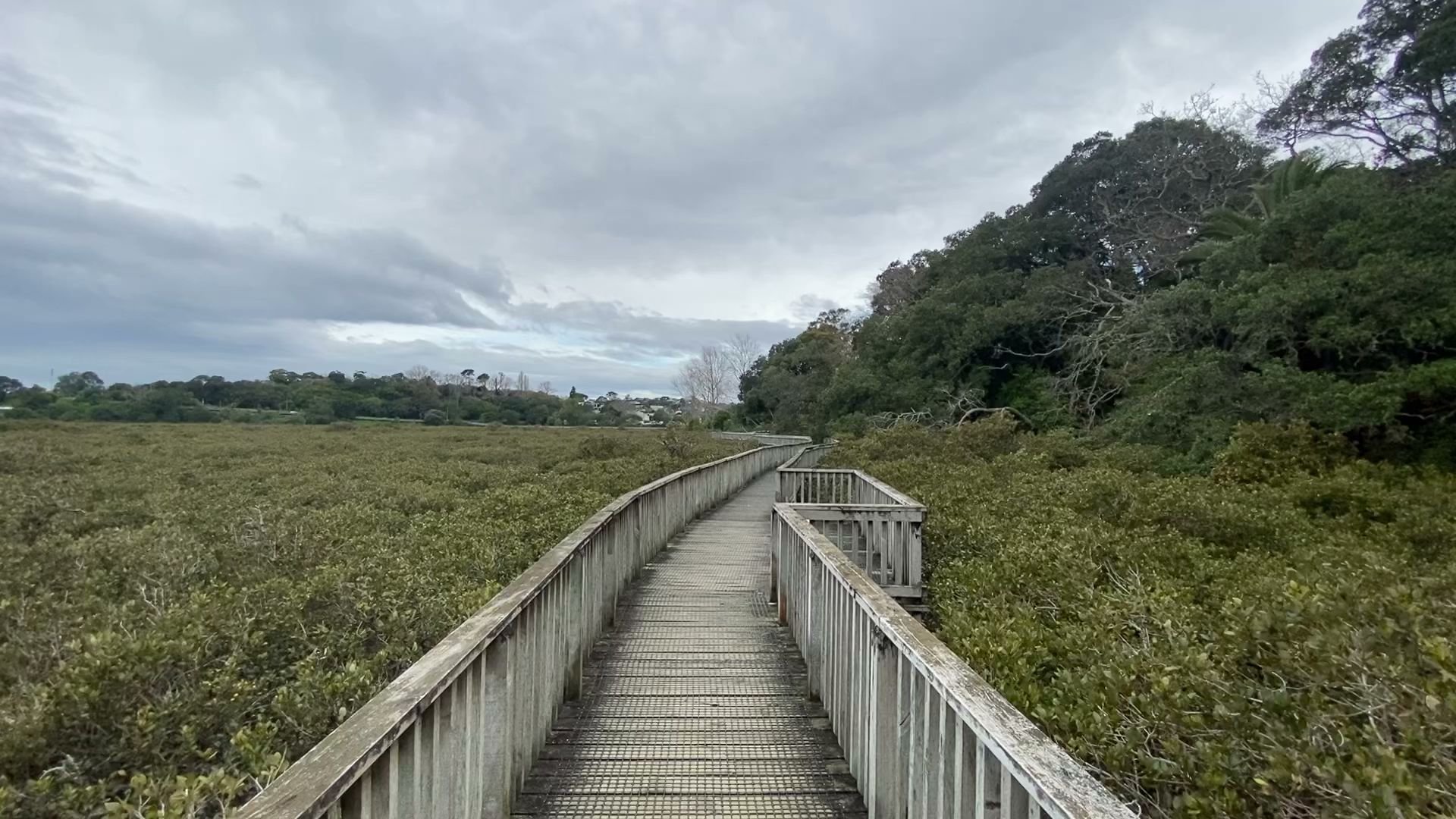 Hobson Bay Walkway - reviews,open hours,photo spots,things to do ...