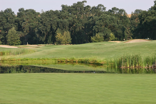Golf Course «Dragonfly Golf Club», reviews and photos, 43369 Avenue 12 ...