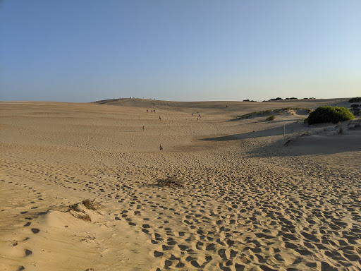 Jockey's Ridge State Park - AZexplained