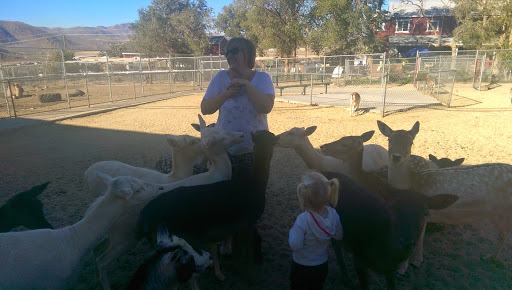 Zoo «Sierra Safari Zoo», reviews and photos, 10200 N Virginia St, Reno ...