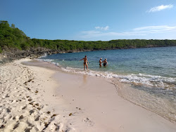 Pointe Tarare - Plage Naturiste 🏖️ La Baie Sainte-Marie, Isola di ...