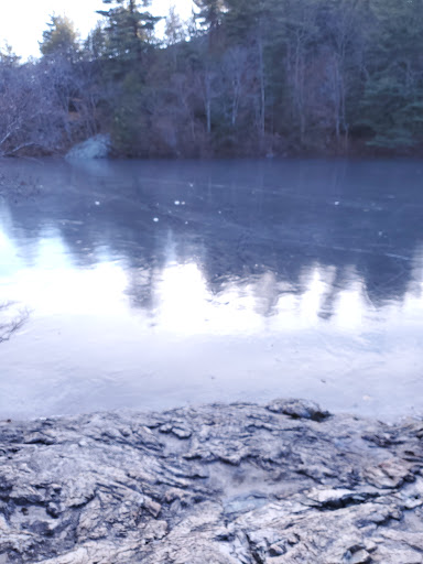 State Park «Breakheart Reservation», reviews and photos, 177 Forest St ...