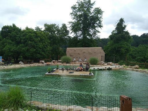 Zoo «Lehigh Valley Zoo», reviews and photos, 5150 Game Preserve Rd ...