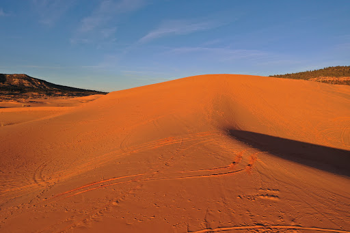 Coral Pink Sand Dunes State Park - AZexplained