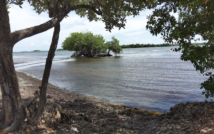 Playa Clavellina 🏖️ Santa Isabel, Puerto Rico - detailed features, map ...