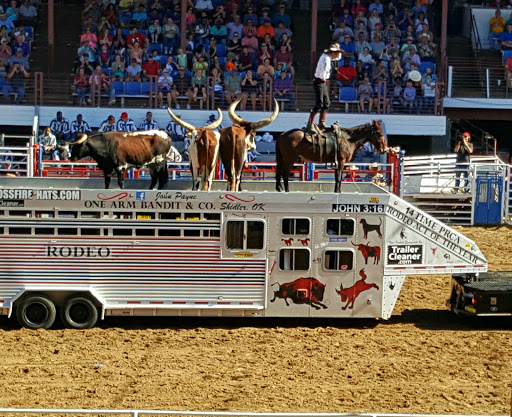 Angola Prison Rodeo & Arts in St Francisville, Louisiana - Zaubee