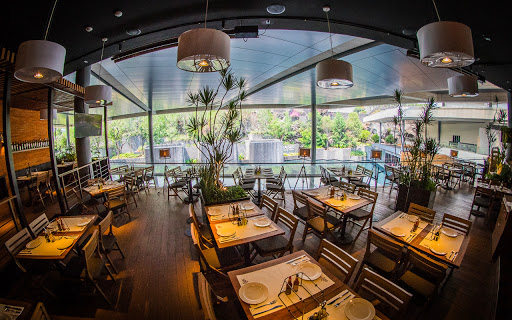 50 Friends Oasis Coyoacán en Coyoacán - Número de Teléfono, Reservas ...