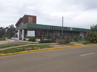 Instituto Railef Academias en Cardenal Caro,Libertador General Bernardo ...