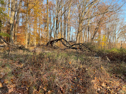 Due Process Stables Golf Course in Colts Neck, New Jersey - Zaubee