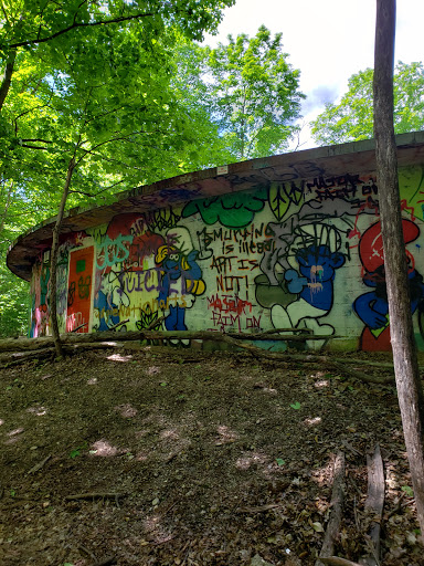 Hippie Tree - Traverse City, Michigan, US - Zaubee