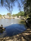 Homestead Dam Recreation Park in the city Benoni