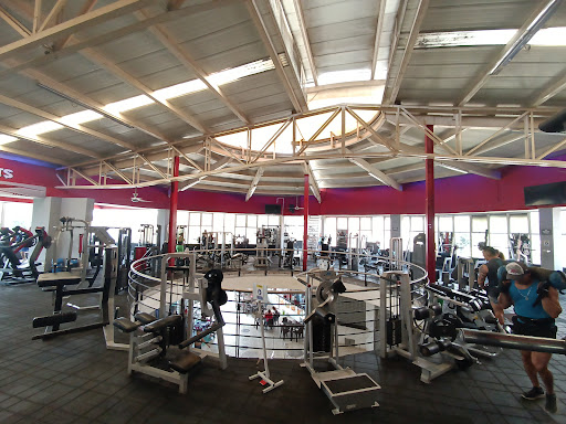 Top Gym en Cali