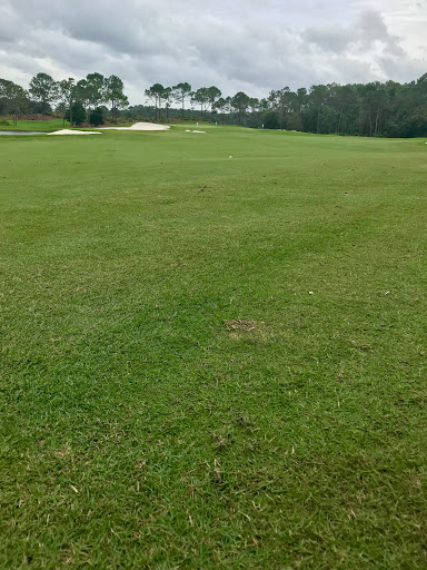 Golf Course «Tranquilo Golf Club at Four Seasons Resort Orlando ...