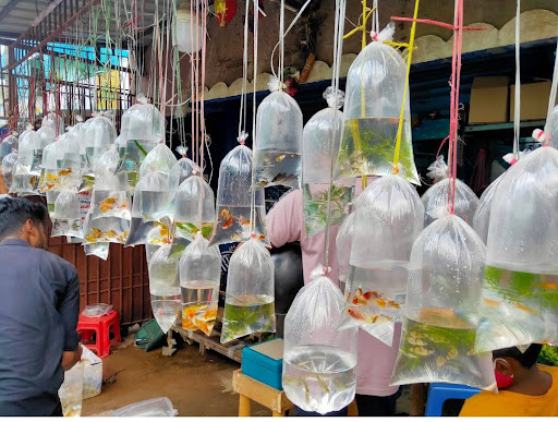 Kolathur Fish Market - Mahatma Gandhi Nagar, Girija Nagar, Kolathur ...