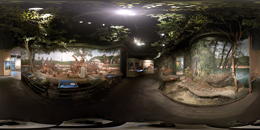 Natural History Museum «Florida Museum of Natural History», reviews and ...