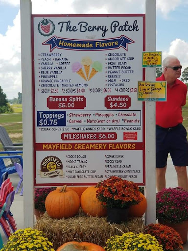 The Berry Patch - 351 Cargo Rd, Ellerbe, North Carolina - Zaubee