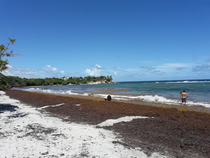 Plage de Saint-Felix II 🏖️ Pliane, Grande-Terre island, Guadeloupe ...