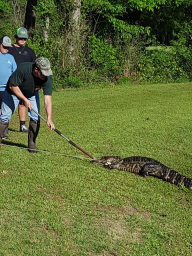 Golf Course «Riverview Park Golf Course», reviews and photos, 100 ...