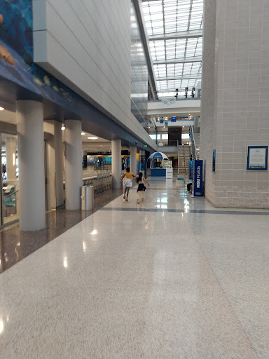 Arena «The Rick Case Arena at the Don Taft University Center», reviews ...