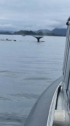 Whale Watching Sitka Alaska - Cpt. Gary's Sitka Wildlife Adventures