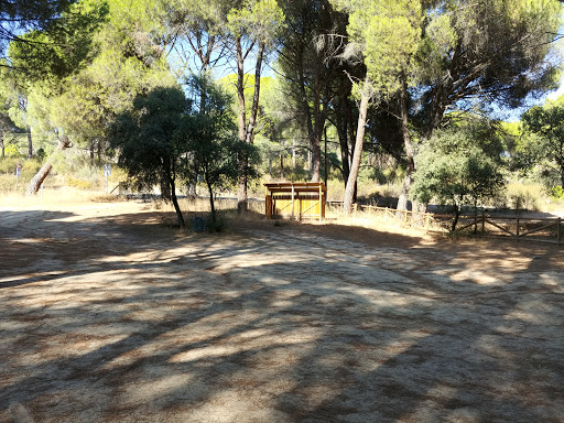 Pinar de Almorox (Almorox)