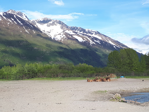 Alaska Wildlife Conservation Center - AZexplained