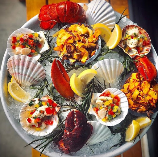 Max Fish - AZexplained