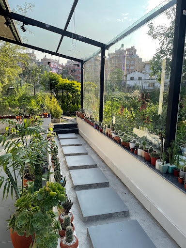 Himalayan SIP in Mangal Bazaar, Lalitpur, - Zaubee