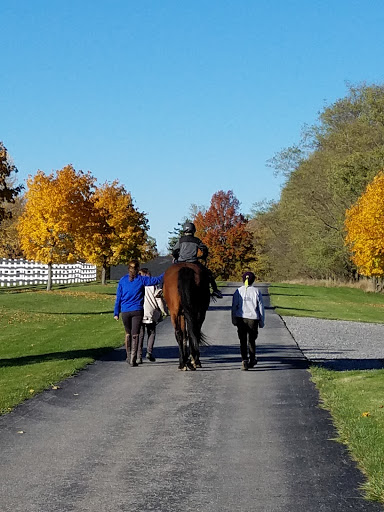 EquiCenter | Ride The Horse