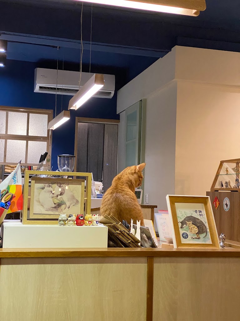 台北市中山區 雪咖啡 yuki coffee/貓咪/深夜/行天宮/不限時 - 台灣餐廳推薦 手搖推薦 甜點推薦 買一送一 優惠訊息