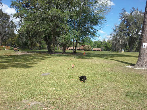 Park «Kit Land Nelson Park», reviews and photos, 10 N Forest Ave ...