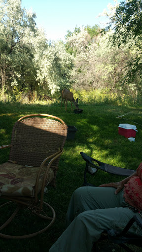 Golf Course «Copper Club Golf Course», reviews and photos, 8975 W 2600 ...