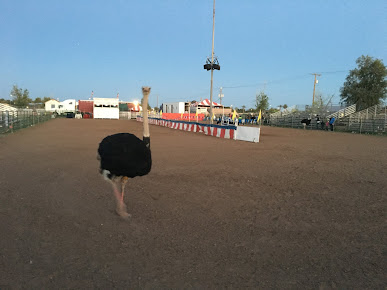 Reviews Tumbleweed Ranch (Museum) in Arizona | TrustReviewers.com