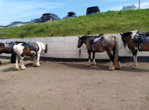 Reen Manor Riding Stables - Reen Manor Farm, Perranporth - Zaubee