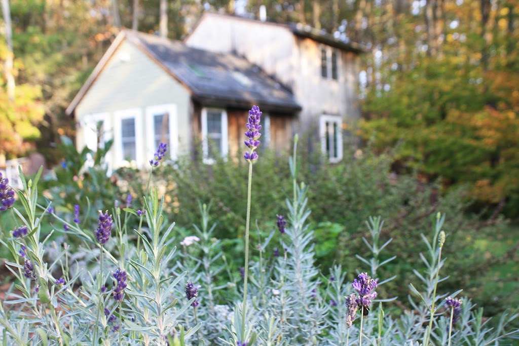 PeaceWell Integrative Massage & Wellness | Moira Abram-Hale, LMT - Cape ... PeaceWell Integrative Massage & Wellness | Moira Abram-Hale, LMT - Cape ...