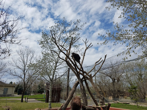 Zoo «Red River Zoo», reviews and photos, 4255 23rd Ave S, Fargo, ND ...