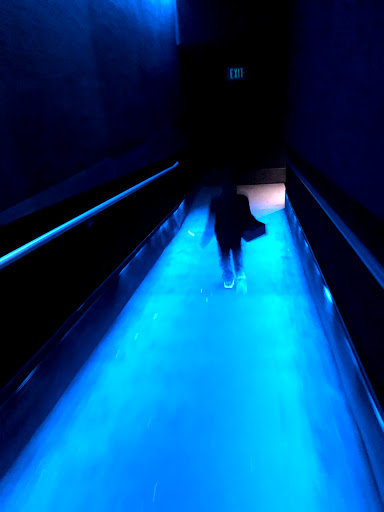 Movie Theater «AMC Southdale 16», reviews and photos, 400 Southdale Ctr ...