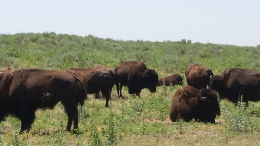 Kansas Department of Wildlife, Parks and Tourism - AZexplained