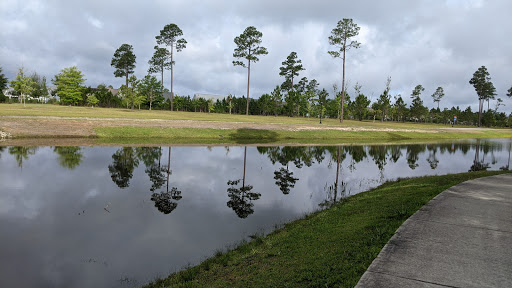 Brunswick Forest - AZexplained