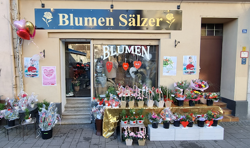 Blumen Sälzer