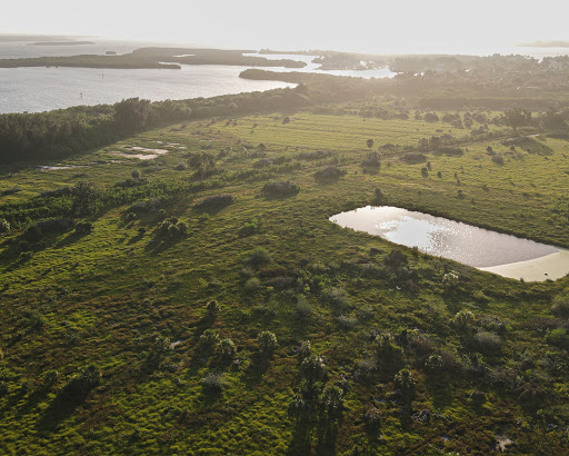 Nature Preserve «Emerson Point Preserve», reviews and photos, 5801 17th ...