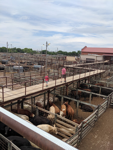 Stockman's Livestock Marketing - AZexplained