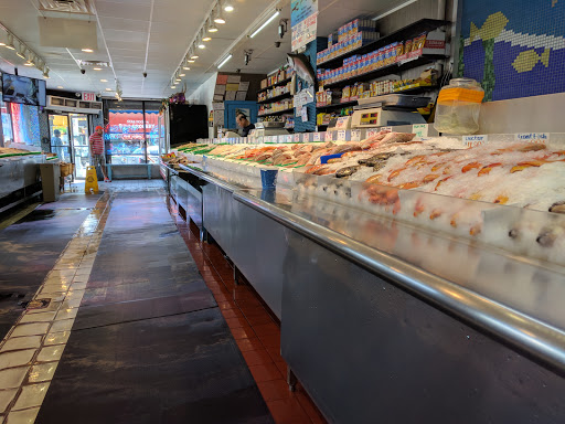 Rainbow Fish Market