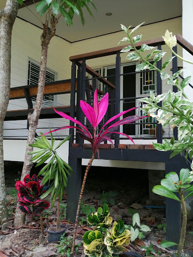 Samui Land Haven - Samui Map Info