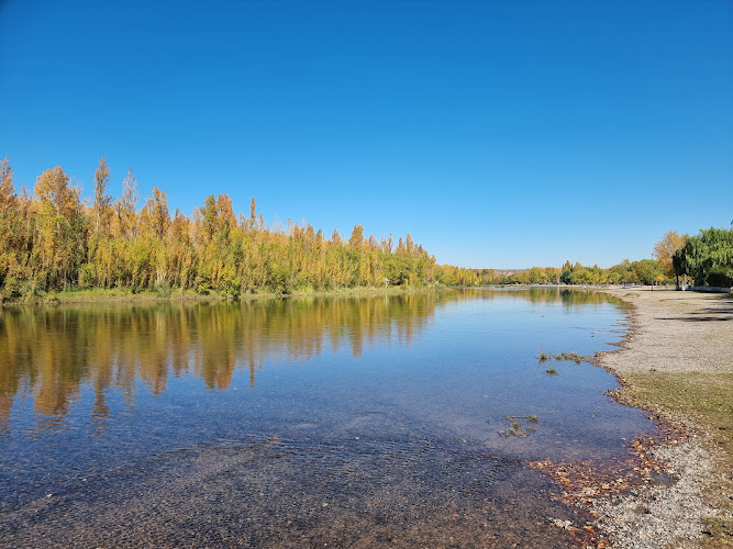 Balneario Gatica 《 OPINIONES